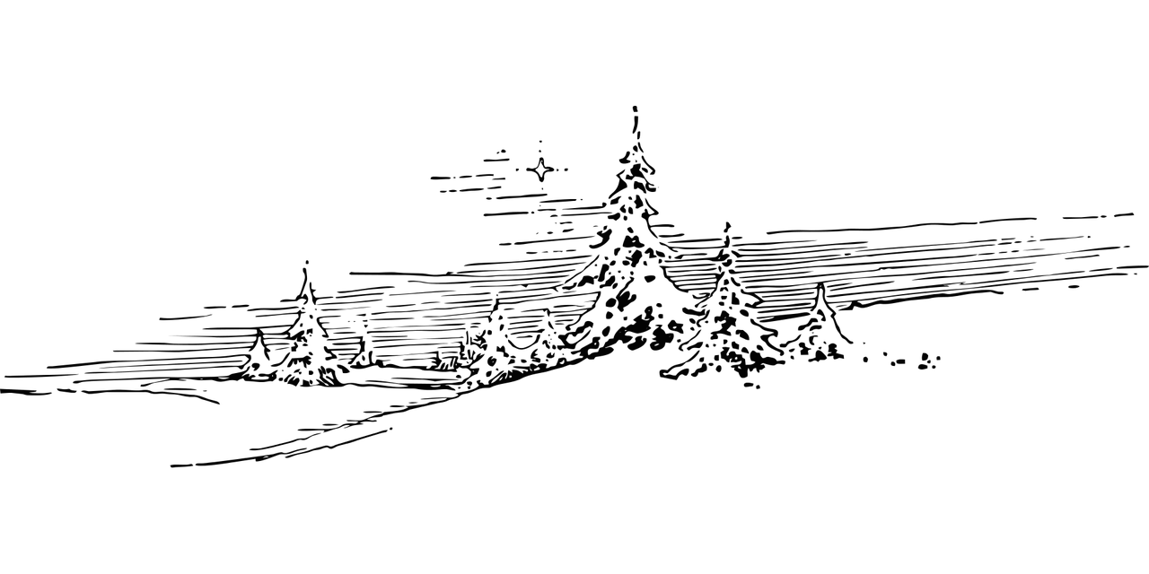 Viikko 8: Talviloma 22.2.-28.2.2021 – Kerttulin kuulumiset